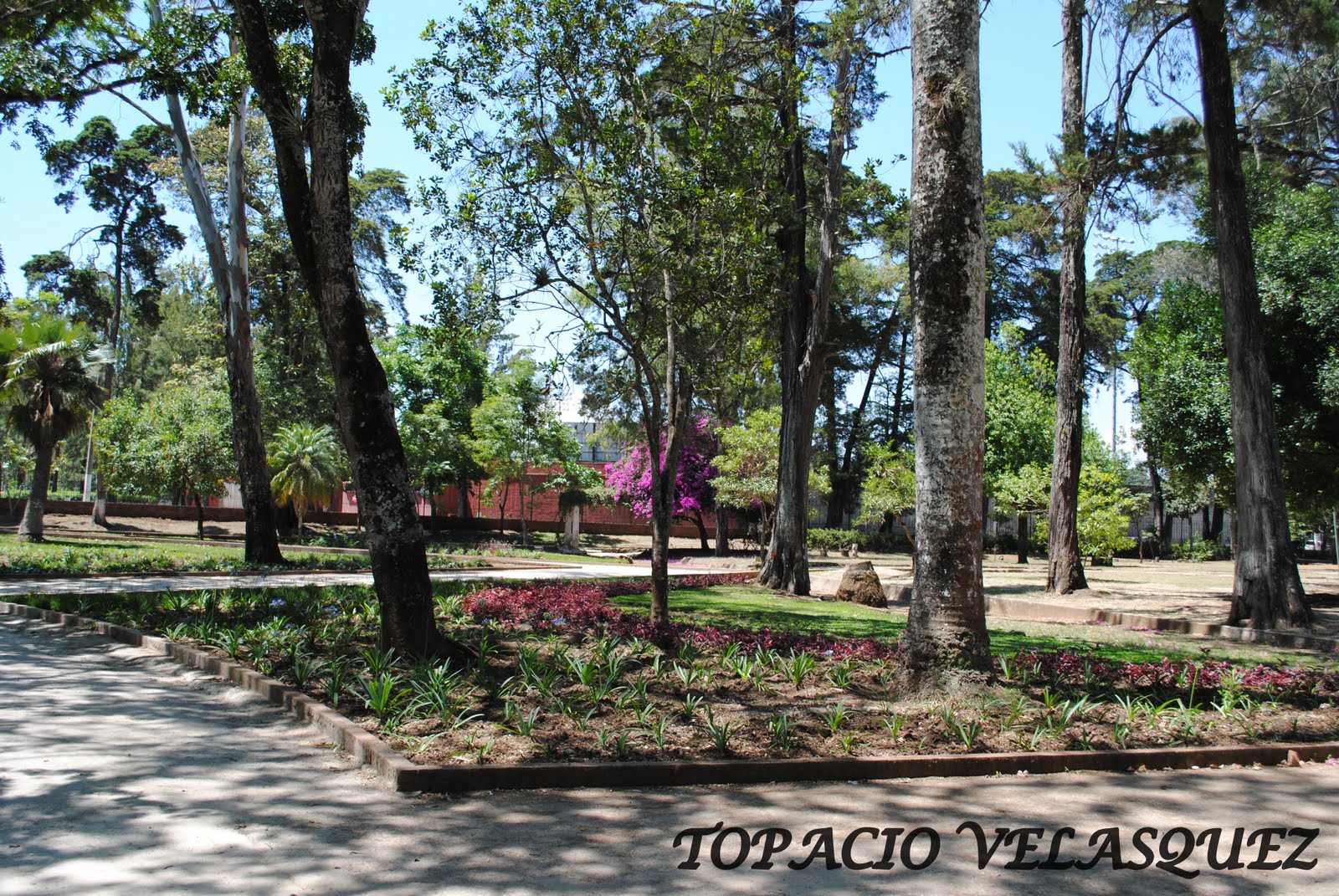 FOTO DOCUMENTAL: PARQUES DE GUATEMALA