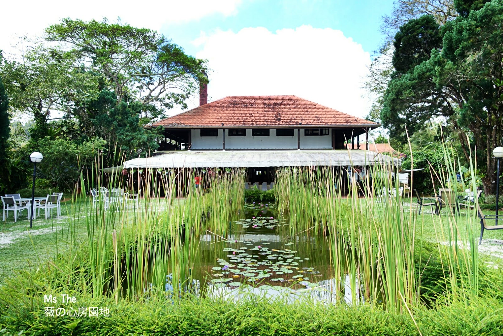 薇の心房園地 : 槟城美食：十二月晚膳套餐 & 2016 圣诞晚餐 | David Brown’s Restaurant & Tea ...