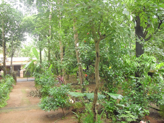 എയ്യാല്‍: Ona Kaalam