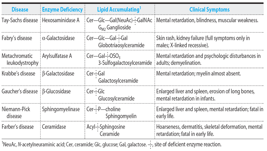 MBBS Medicine (Humanity First): Sphingolipidoses (lipid storage diseases)