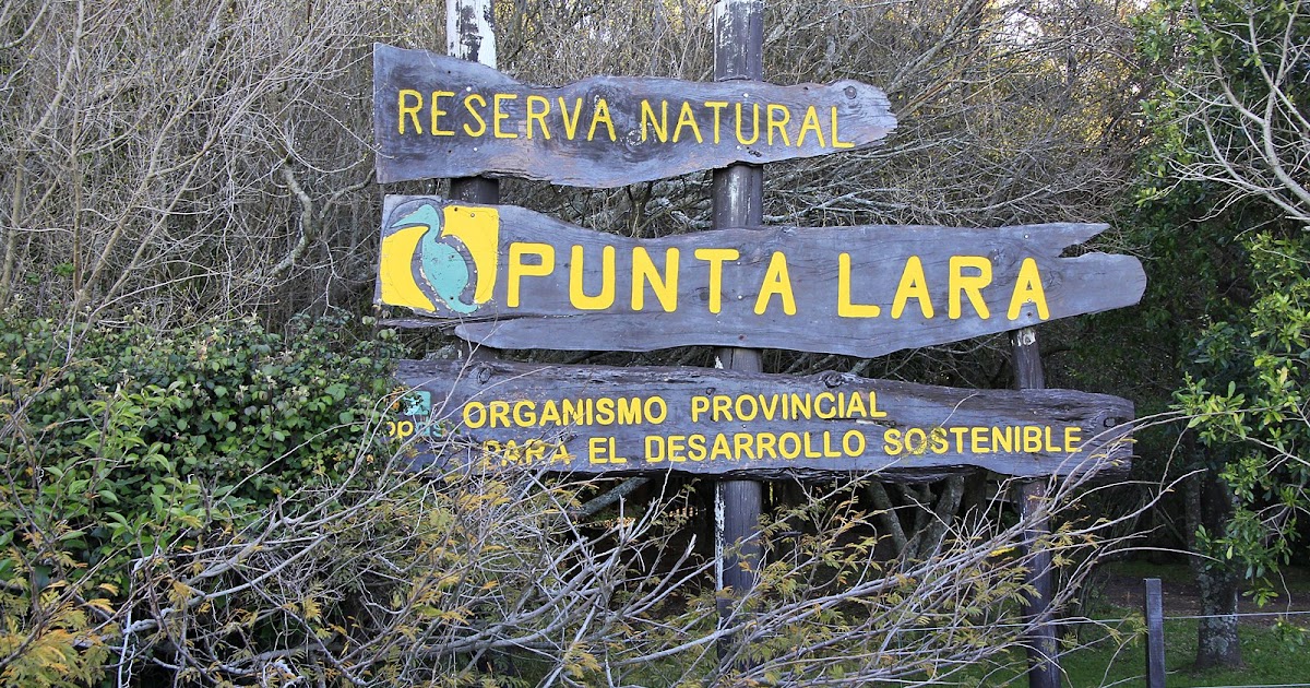 Aves Bonaerenses: Reserva Natural Punta Lara