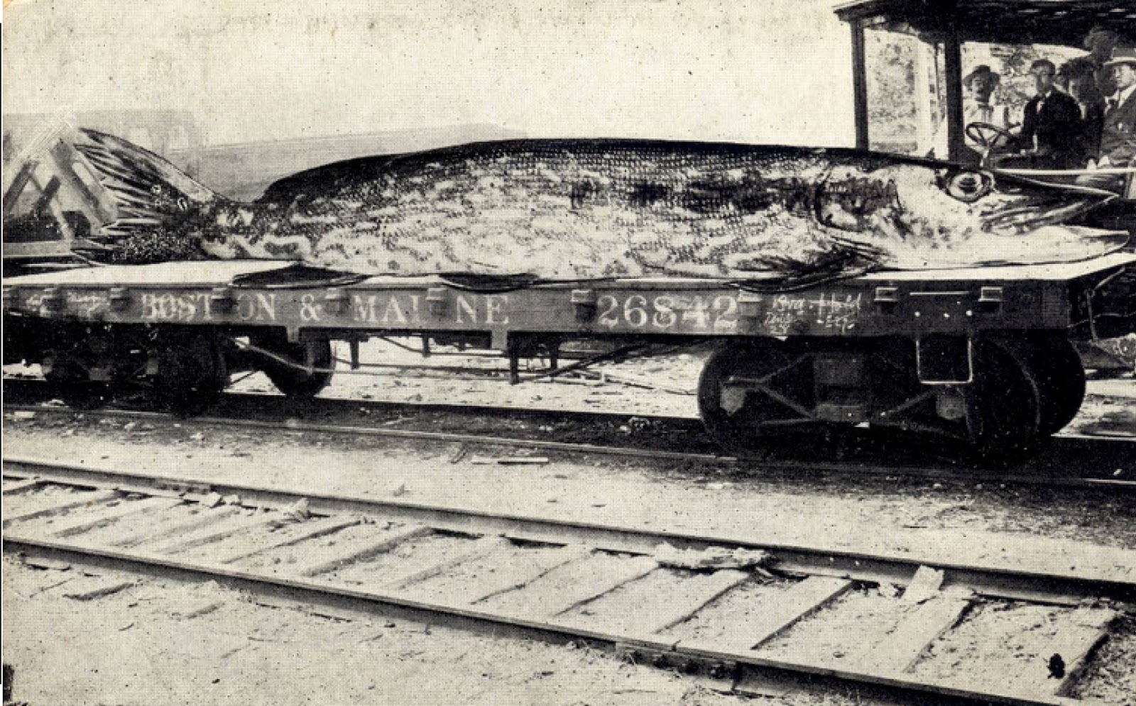 Model Railroad Minutiae: Fish Market model start