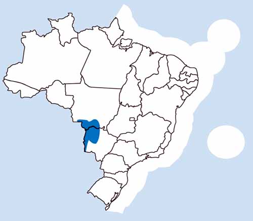 *: Biomas Brasileiros
