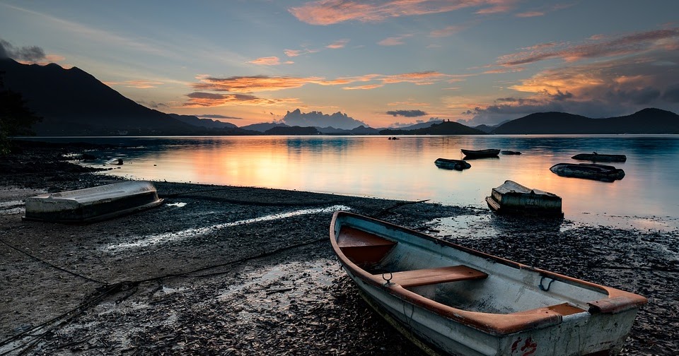 Cari Umpan Ikan Patin Terbaik Sepanjang Masa Super Jitu