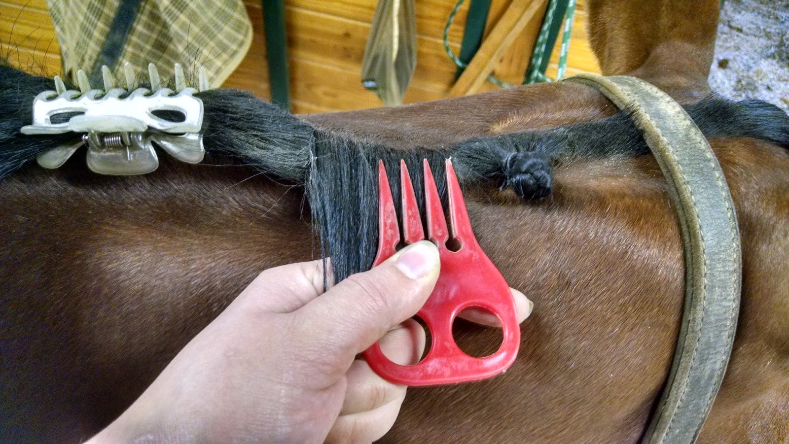 Dream Big: Braiding How To: Sew-in and a Long Mane Solution