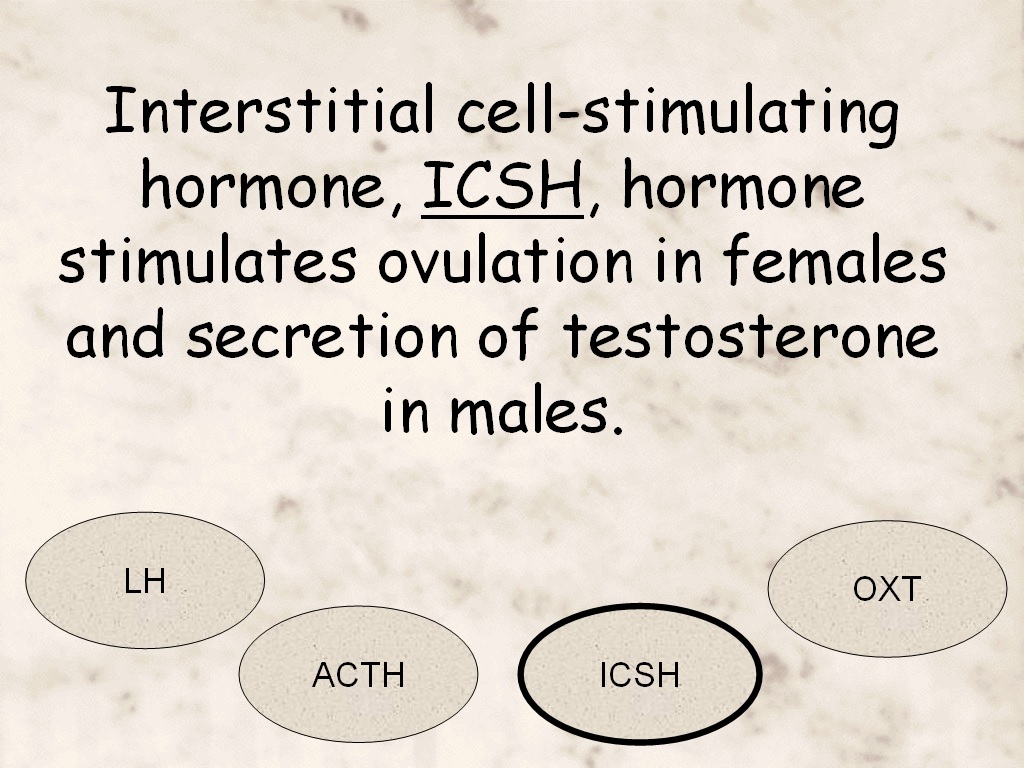 Student Survive 2 Thrive: Pituitary Hormones Practice Test