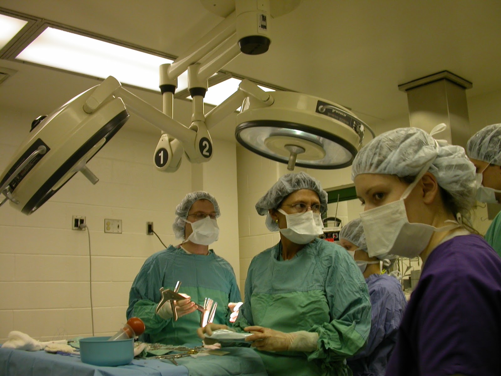 Small Animal Talk: Lessons learned in soft tissue surgery: tips from ...