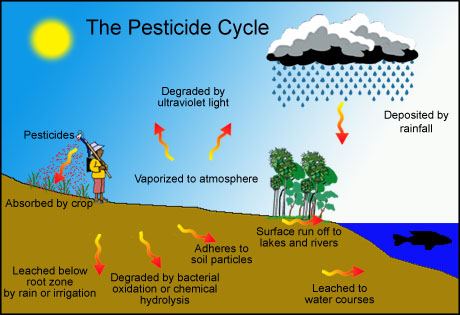 Pesticides and its effects on Environment - Cultivation Of Crops