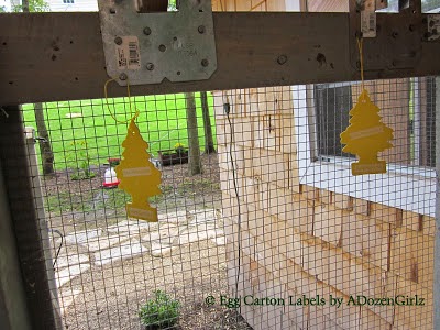 Fermierul roman: O IDEIE DE INCERCAT