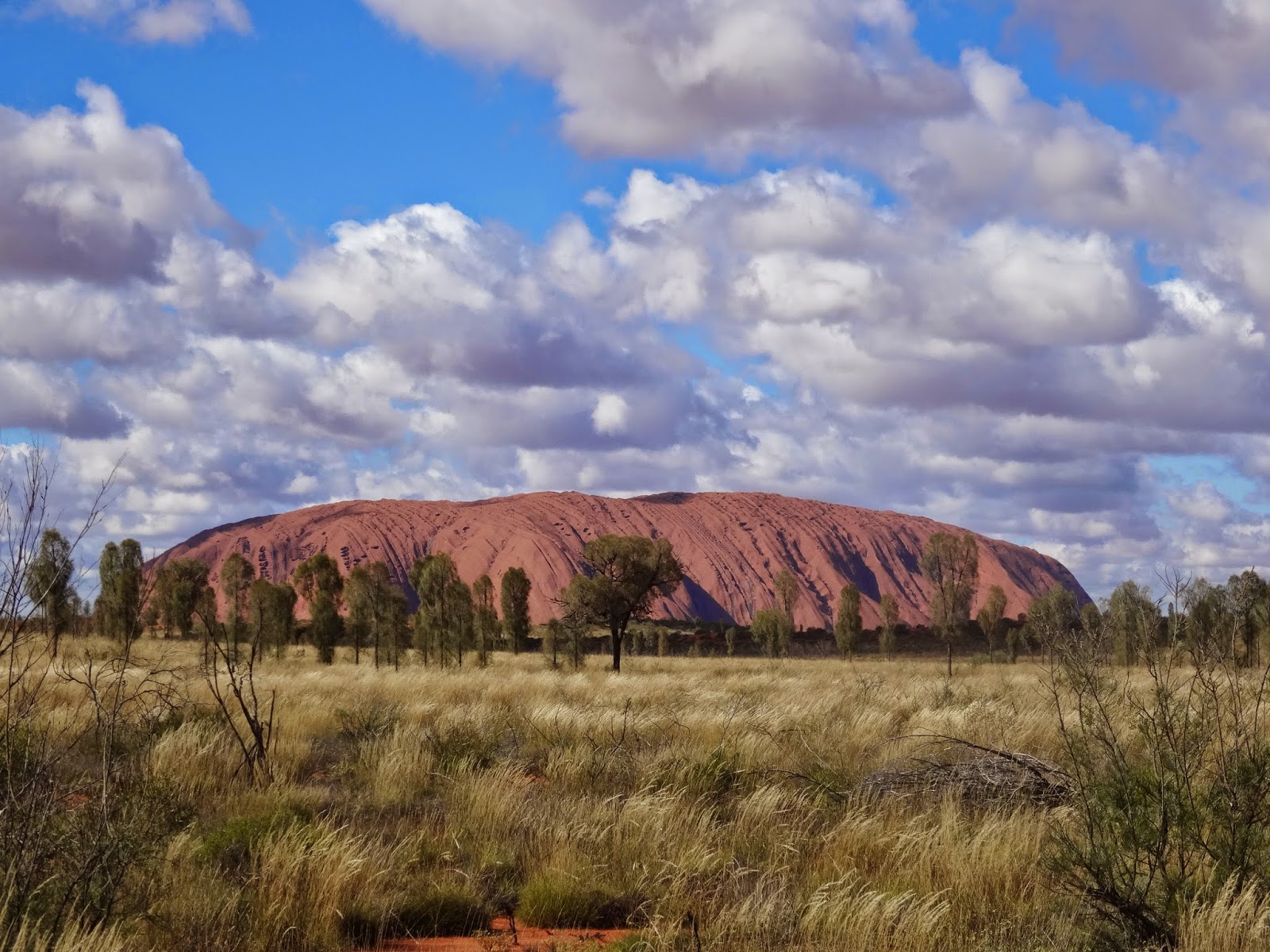 Julie & Lolo : Aussie girls: La traversée du désert rouge