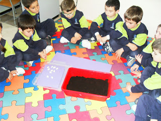 Kindergarten 2.1: Storybook 'Ten Seeds' by Ruth Brown