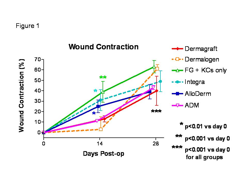 My unpublished biomedical research: Wound Neovascularization with ...