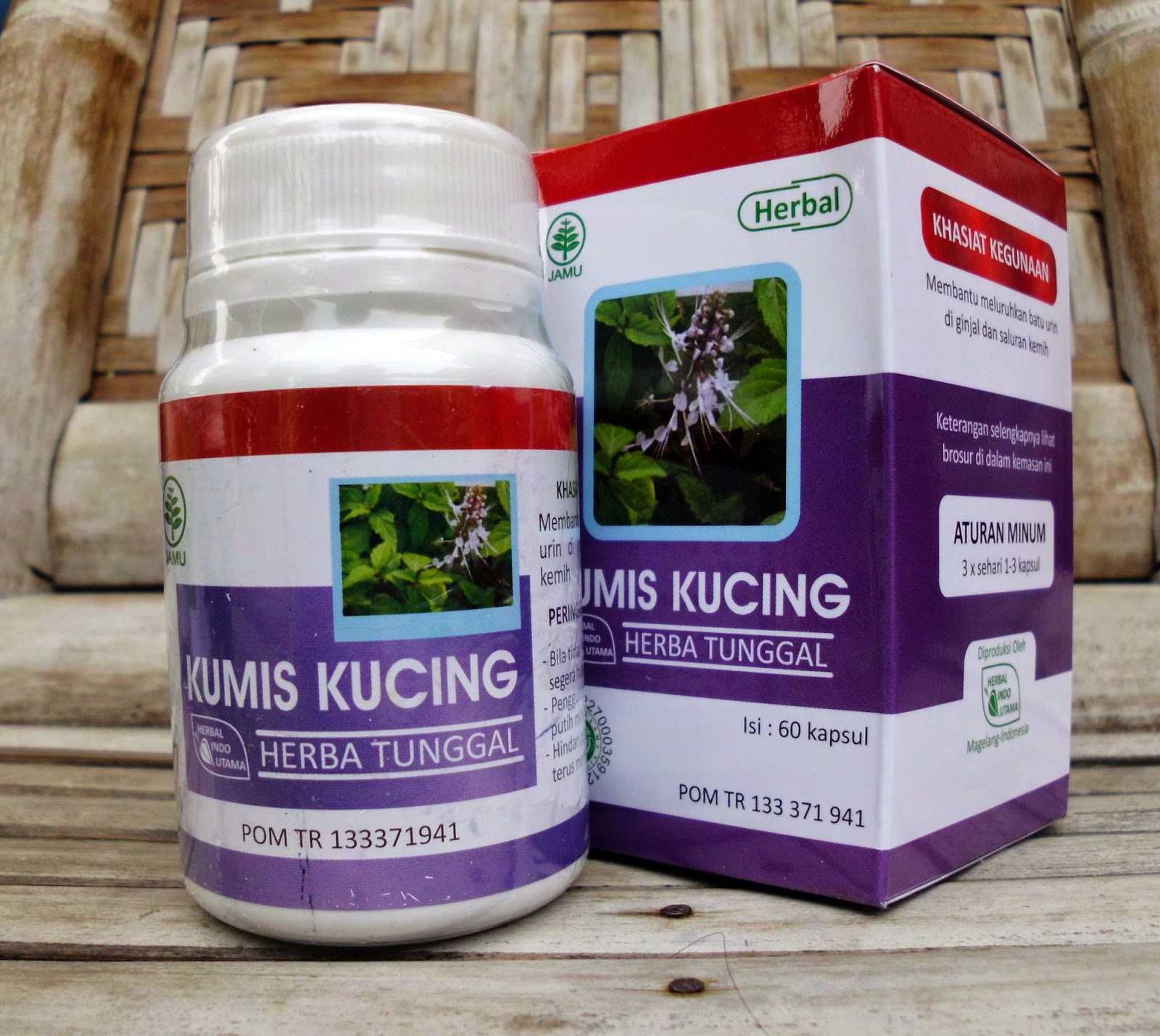 INFO HERBAL (herb information): MANFAAT DAN KHASIAT KUMIS KUCING