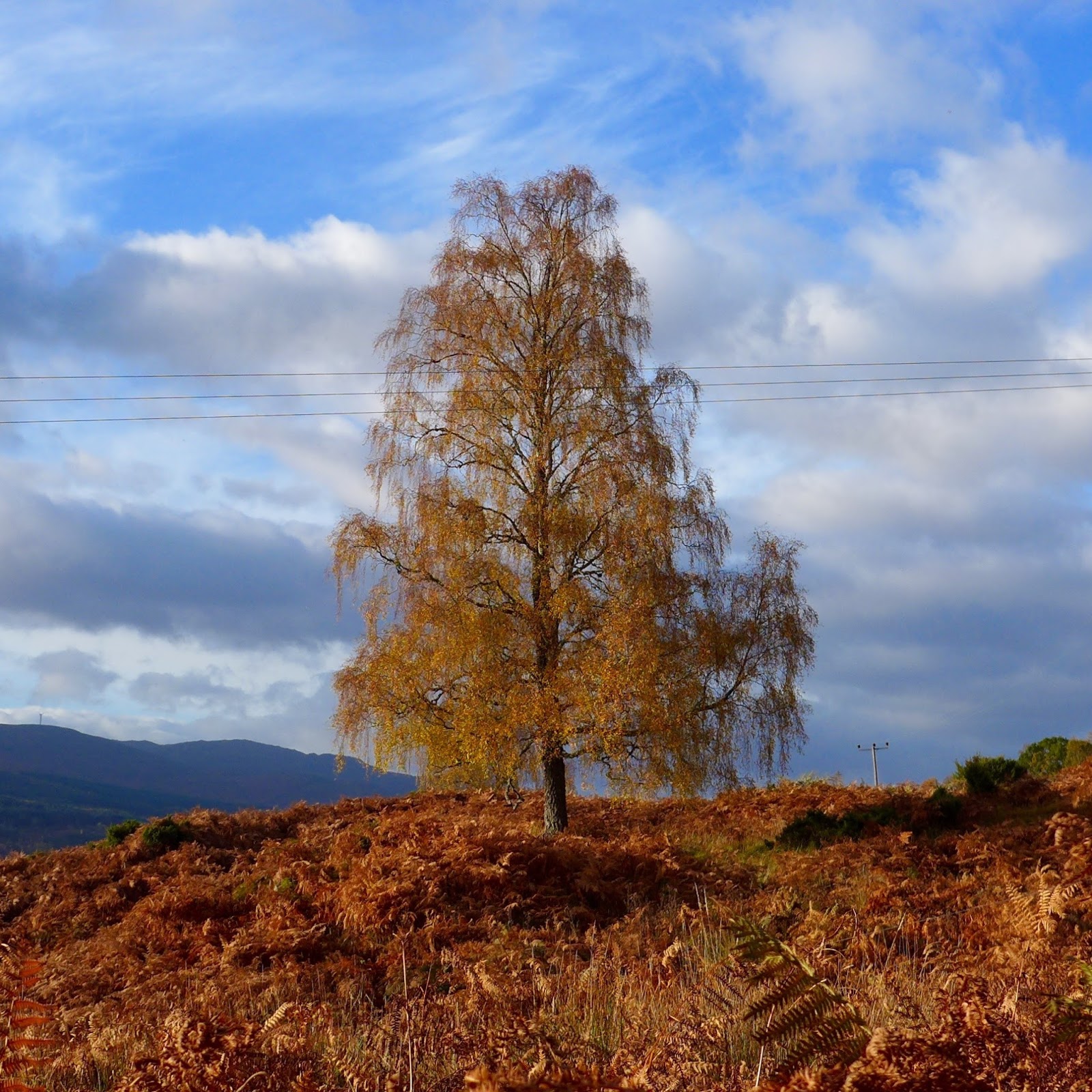 The Wolf's Crag: Names & Derivations