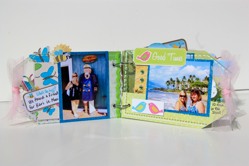 Cute ideas for Mini Books