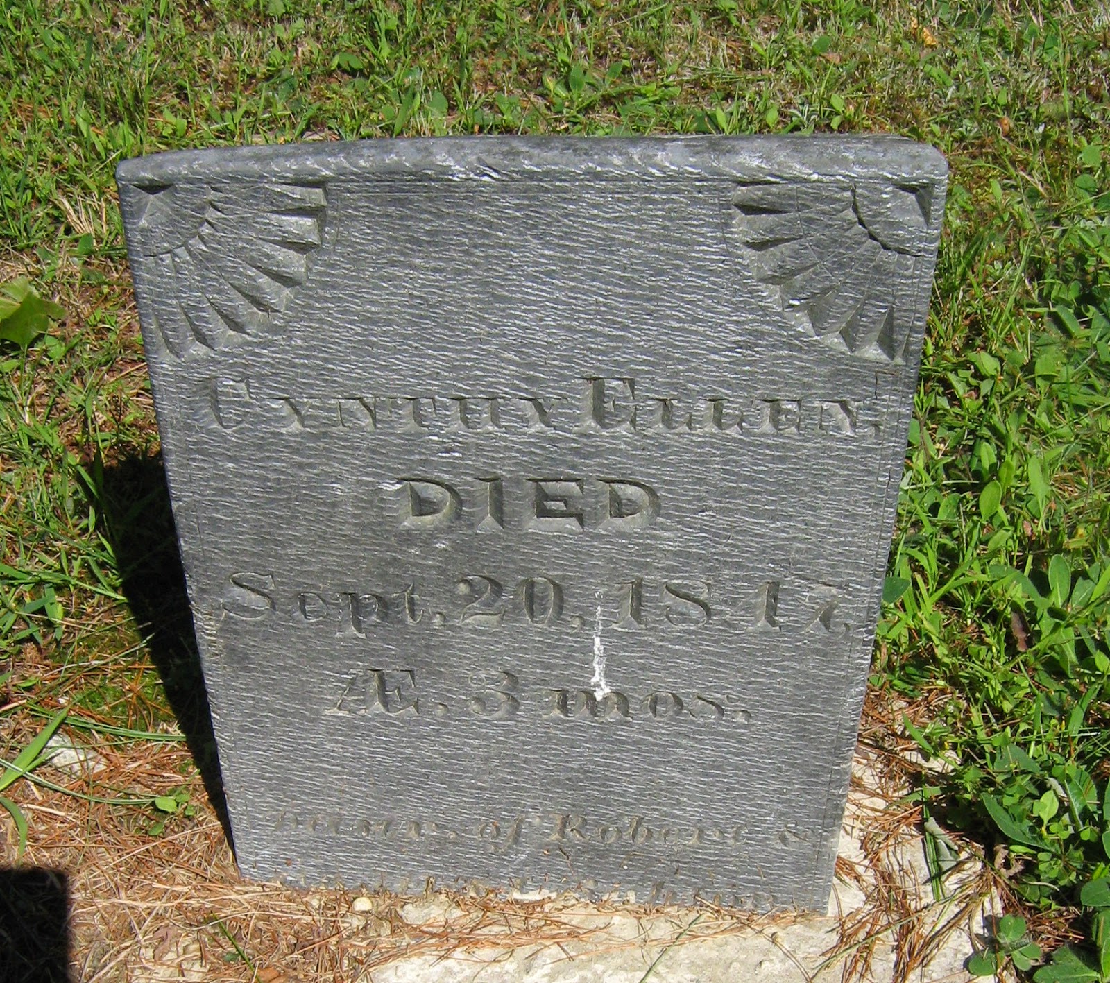 Digging Down East: 52 Ancestors: #25 Cynthia Ellen Leighton (1847-1847)