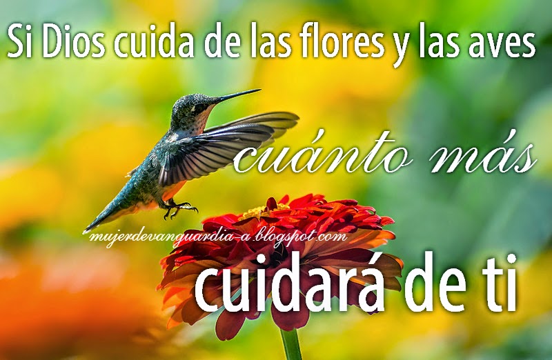 Cuánto más Dios cuidará de ti | Imágenes con frases que hacen bien al alma