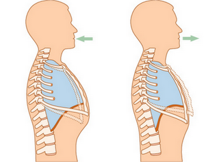 El Sistema respiratorio on emaze