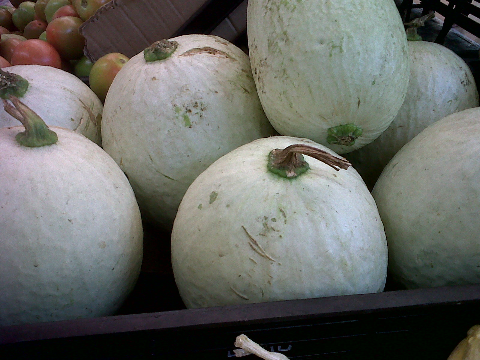 Boca de Fresa: La vitoria o victoria