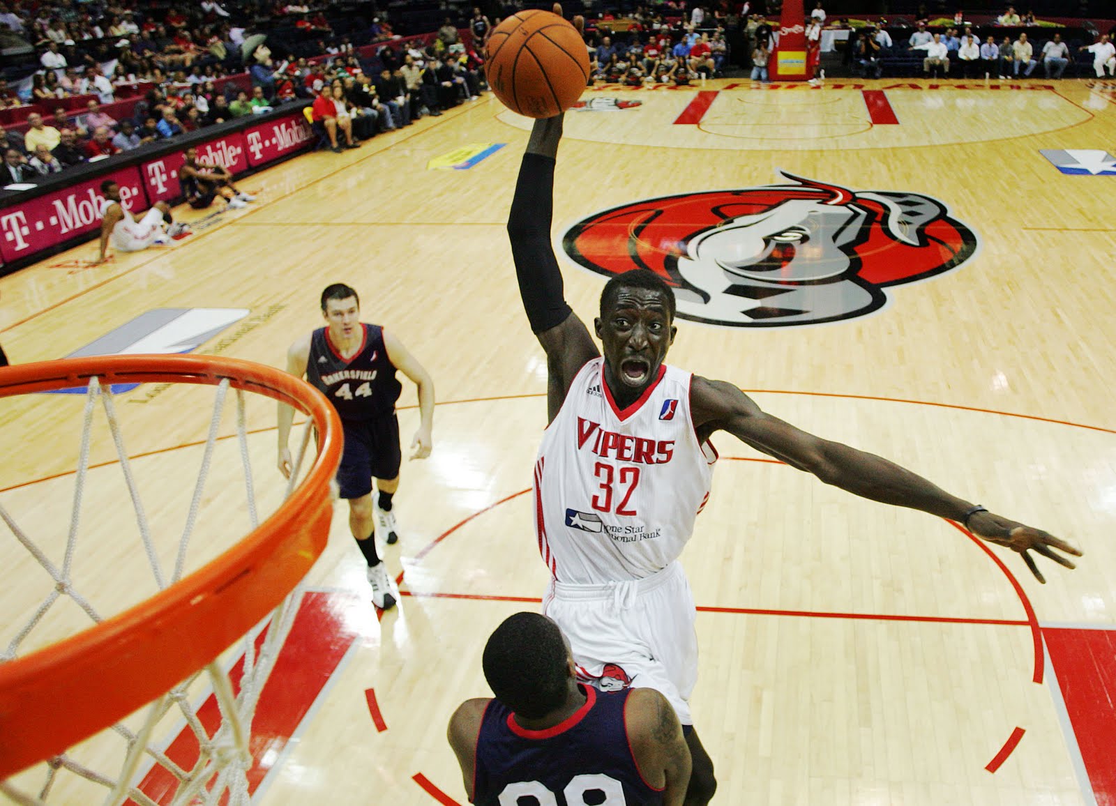 Life through the Lens: Rio Grande Valley Vipers