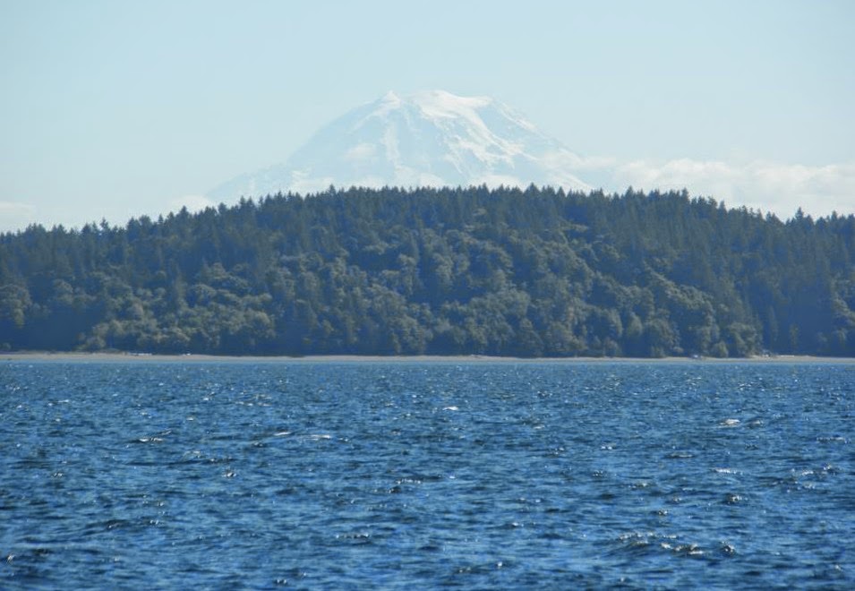 Protect Our Shoreline News: January 28: Fudge Point State Park Public ...