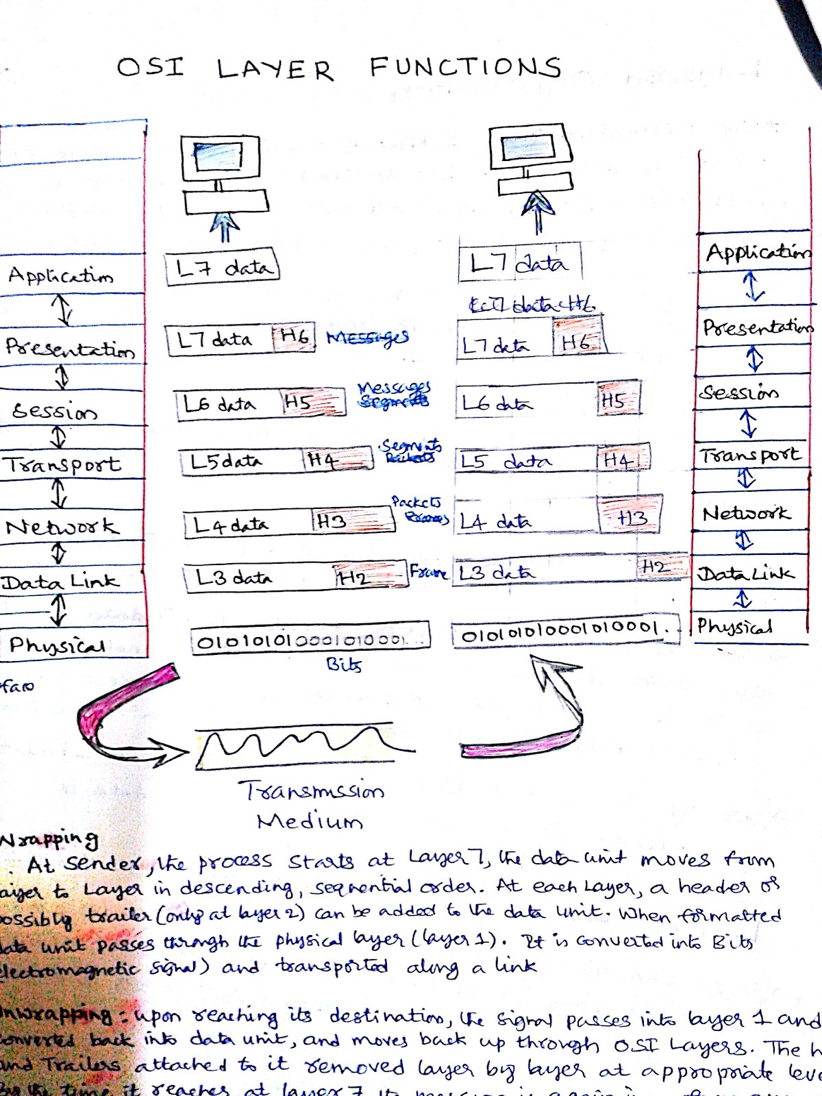 Networking(DCCN): OSI Reference Model