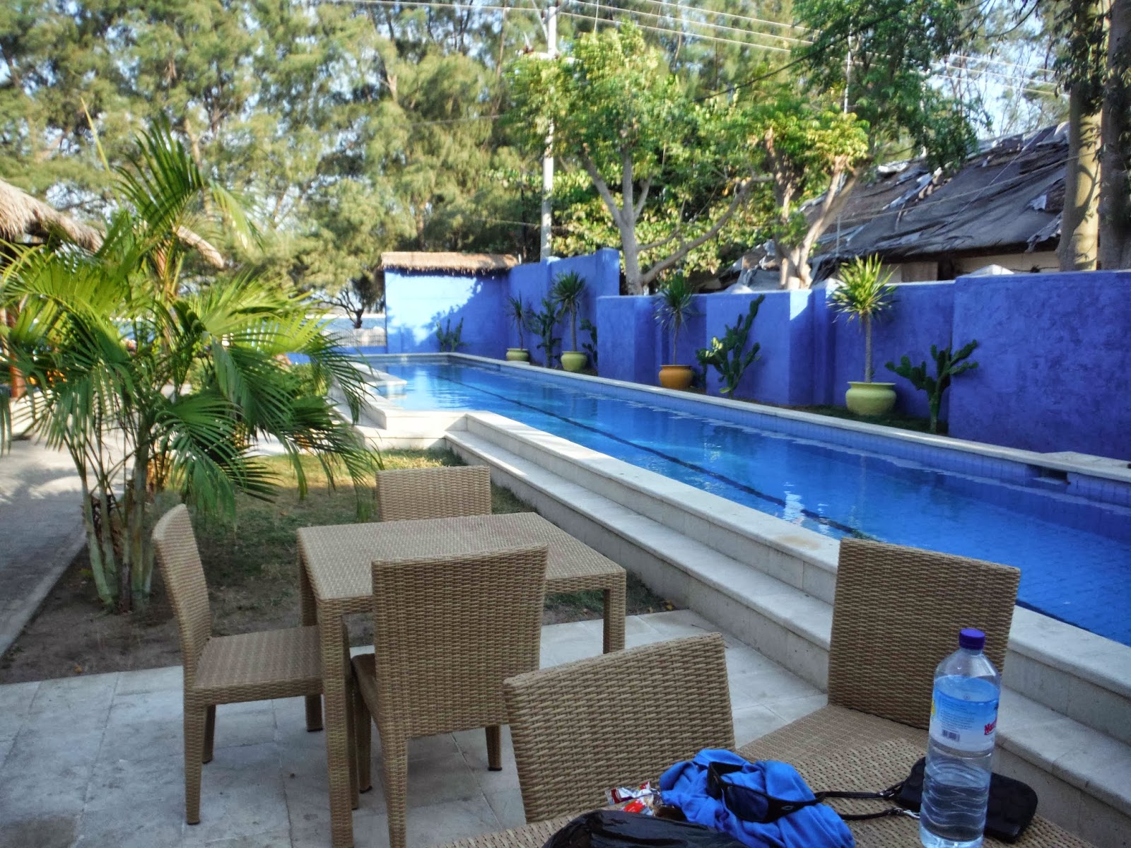 Trev in Indo: Immersing in Indonesia and First visitor!