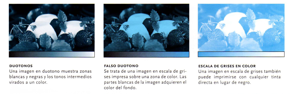 Diseño y Producción Editorial: Proceso Gráfico - Formas Impresoras