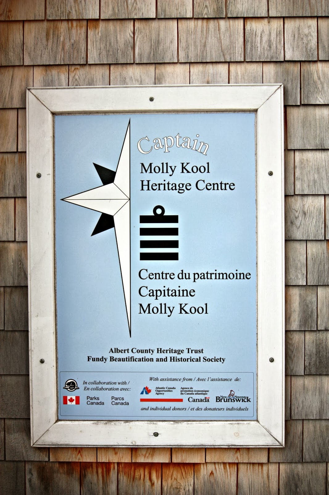 Carol Steel: Molly Kool Centre Inc.