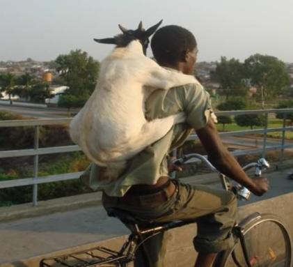 Funny Bakra Pics Collection