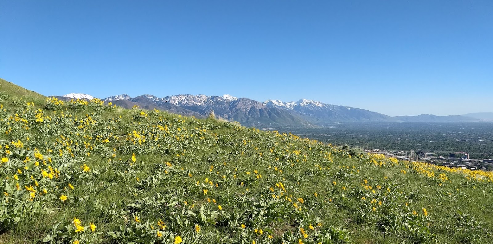 Wasatch Weather Weenies: Foothills in All Their Splendor
