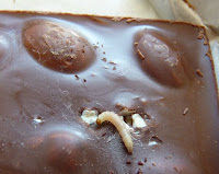 Chocolate Banquet: Chocolate Mishaps