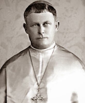 Dom Daniel Hostin: Histórico