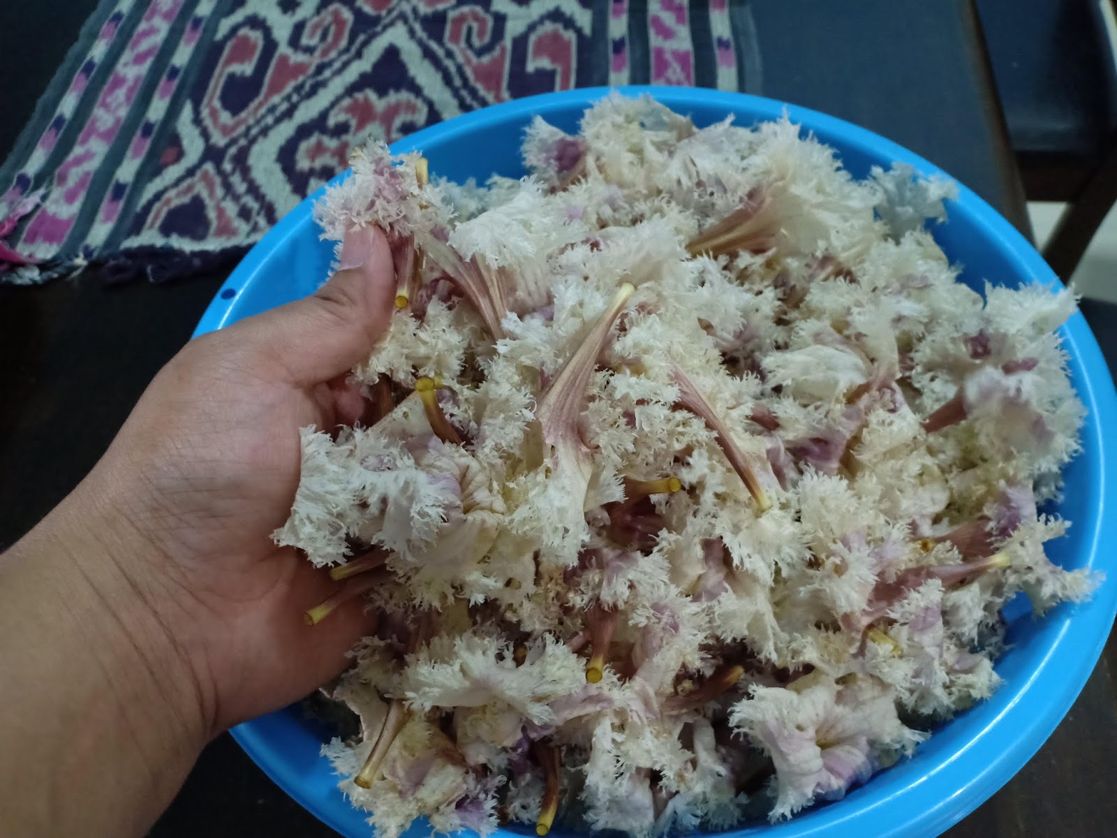 LEPAT LIAT BUNGA CHICHA