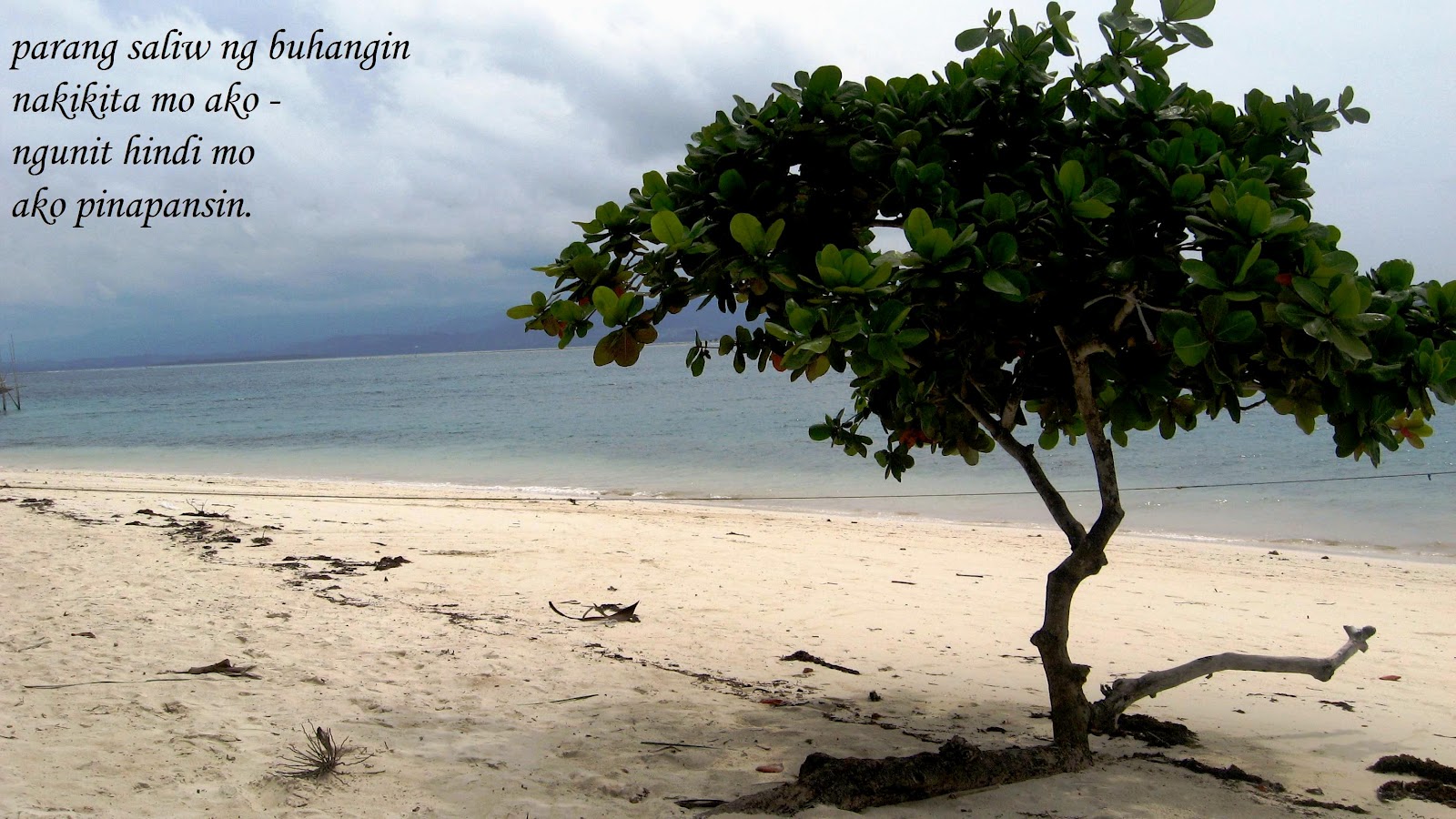 PROFESSOR MOHAWK: BUHANGIN