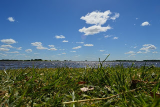 Día de Campo "Express". El encanto de la Laguna. Navarro.