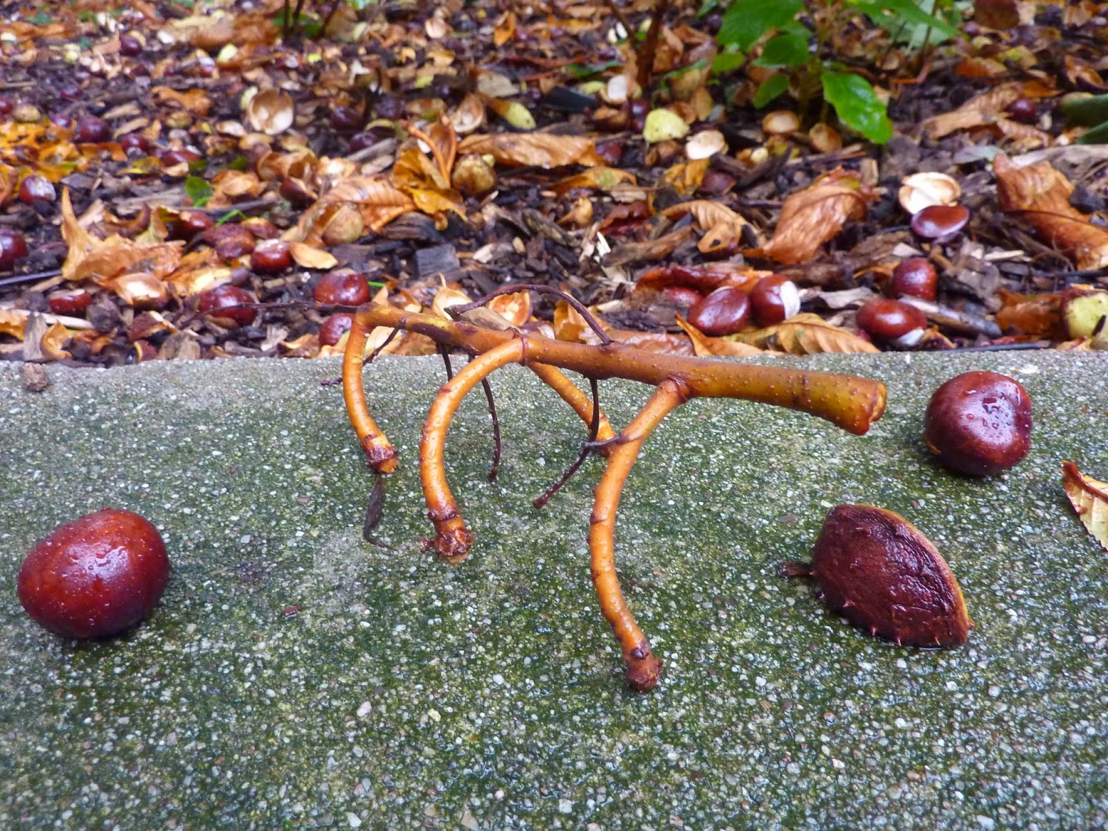 rien n'est grave, tout est important: bestiole