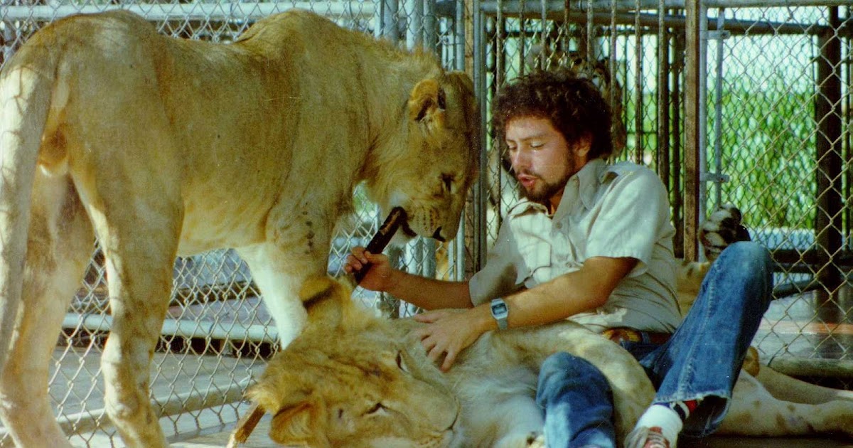 Lion Tamers Guide to Teaching: Welcome to the Lion Tamers Guide to ...