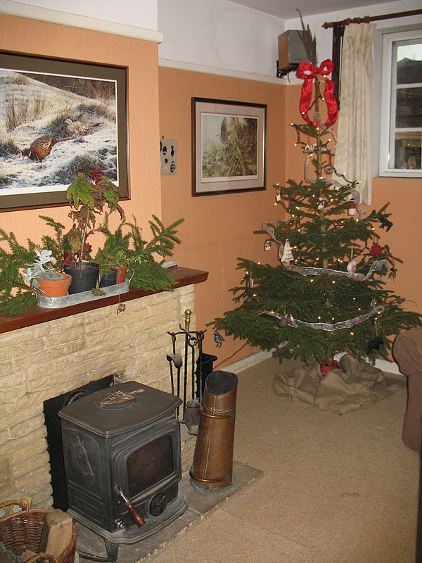 Milkweed & Teasel: It's beginning to look a lot like Christmas