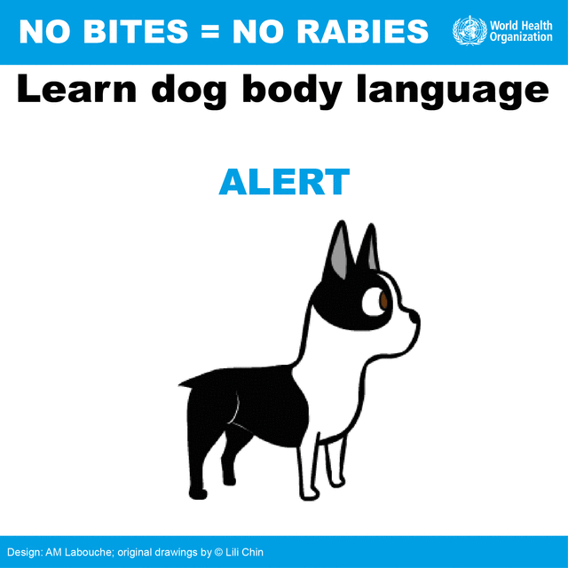 Health Observation: Rabies Awareness