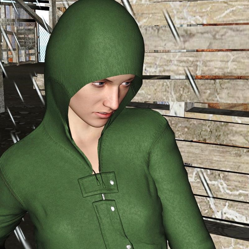 Shanty-Town Shoelicker