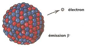 TPE sur l'hérédité de la radioactivité