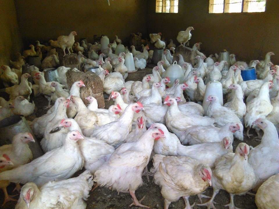 mbwanashally: Novemba 2014