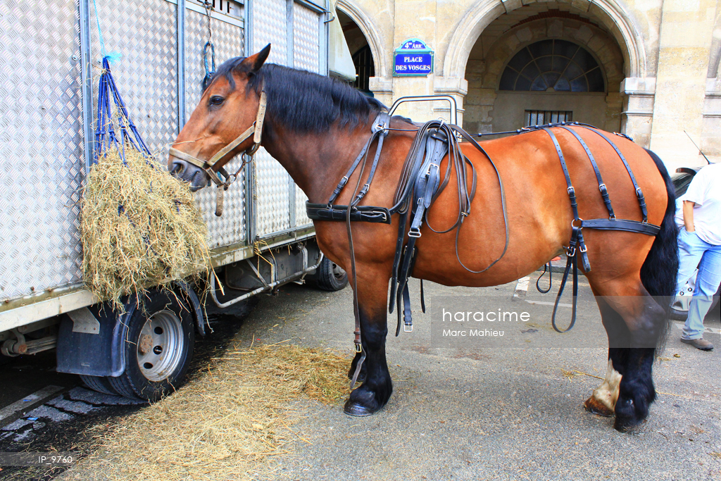Marc Mahieu Photographe Paris - filming