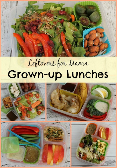 Biting The Hand That Feeds You: Grown-up "Work" Lunches for Mama!