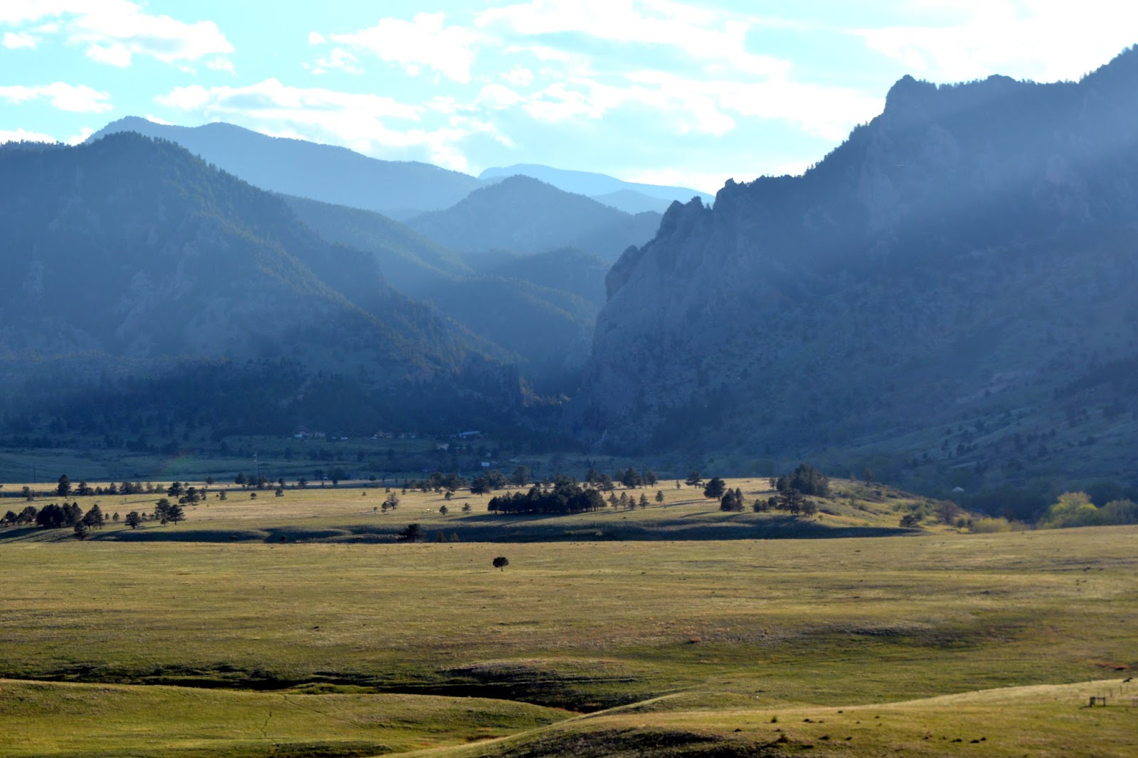 Mille Fiori Favoriti: Spring in Rocky Mountain National Park