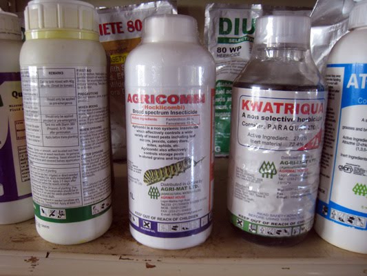 Pictures of African Cocoa Farming: Chemicals (6)