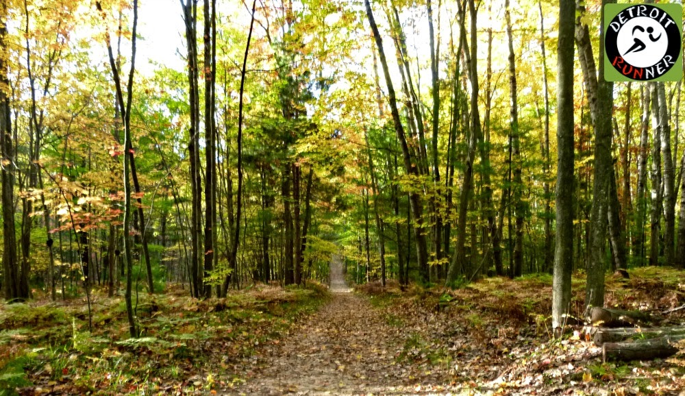 DETROIT RUNNER....: The Vasa Trails of Traverse City