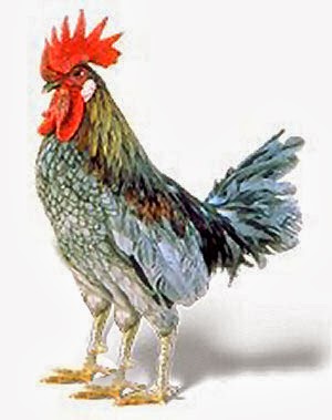 Birdpoop masterpiece at the parking lot : funny