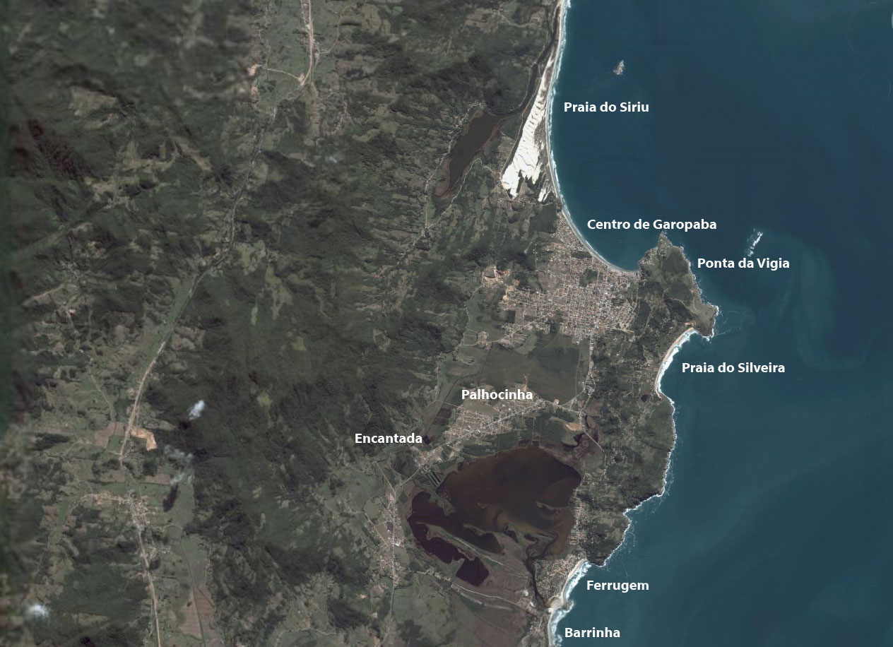 SURPRESAS DO MAR: De volta a Garopaba S.C. (01)